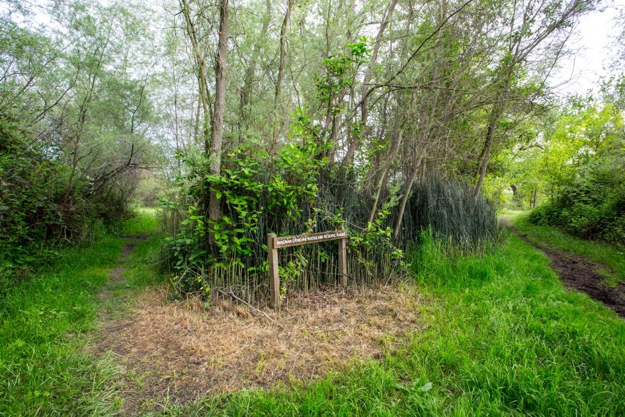 TRAYLOR RANCH | lbha