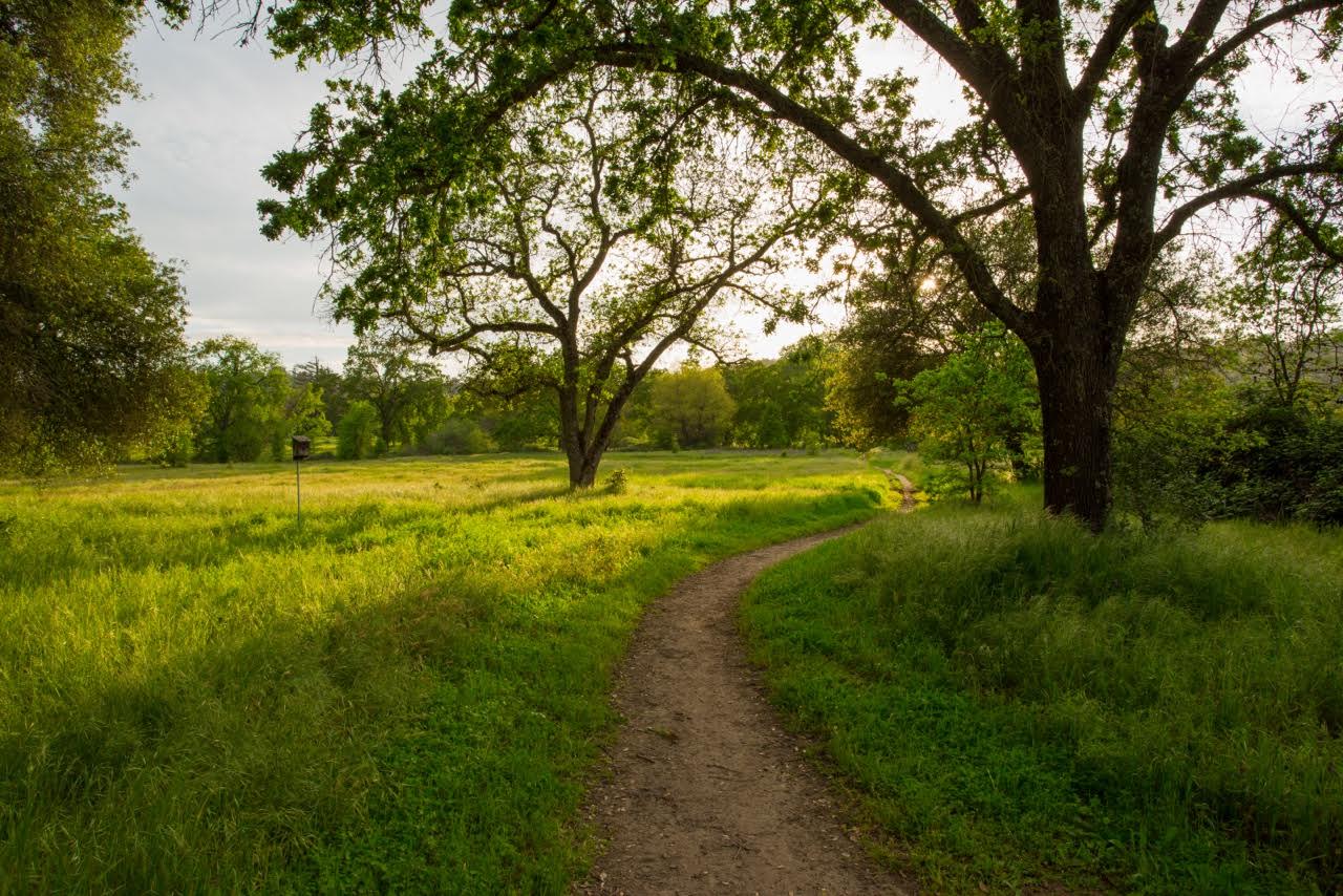 TRAYLOR RANCH | lbha