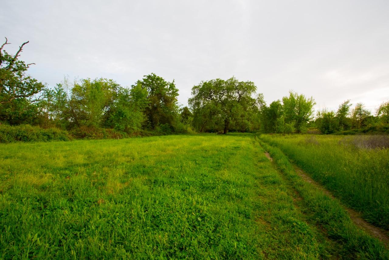 TRAYLOR RANCH | lbha