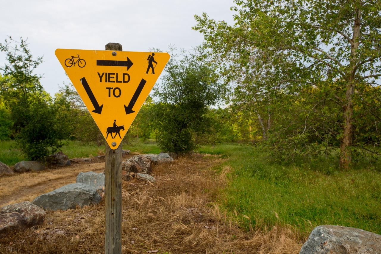 TRAYLOR RANCH | lbha