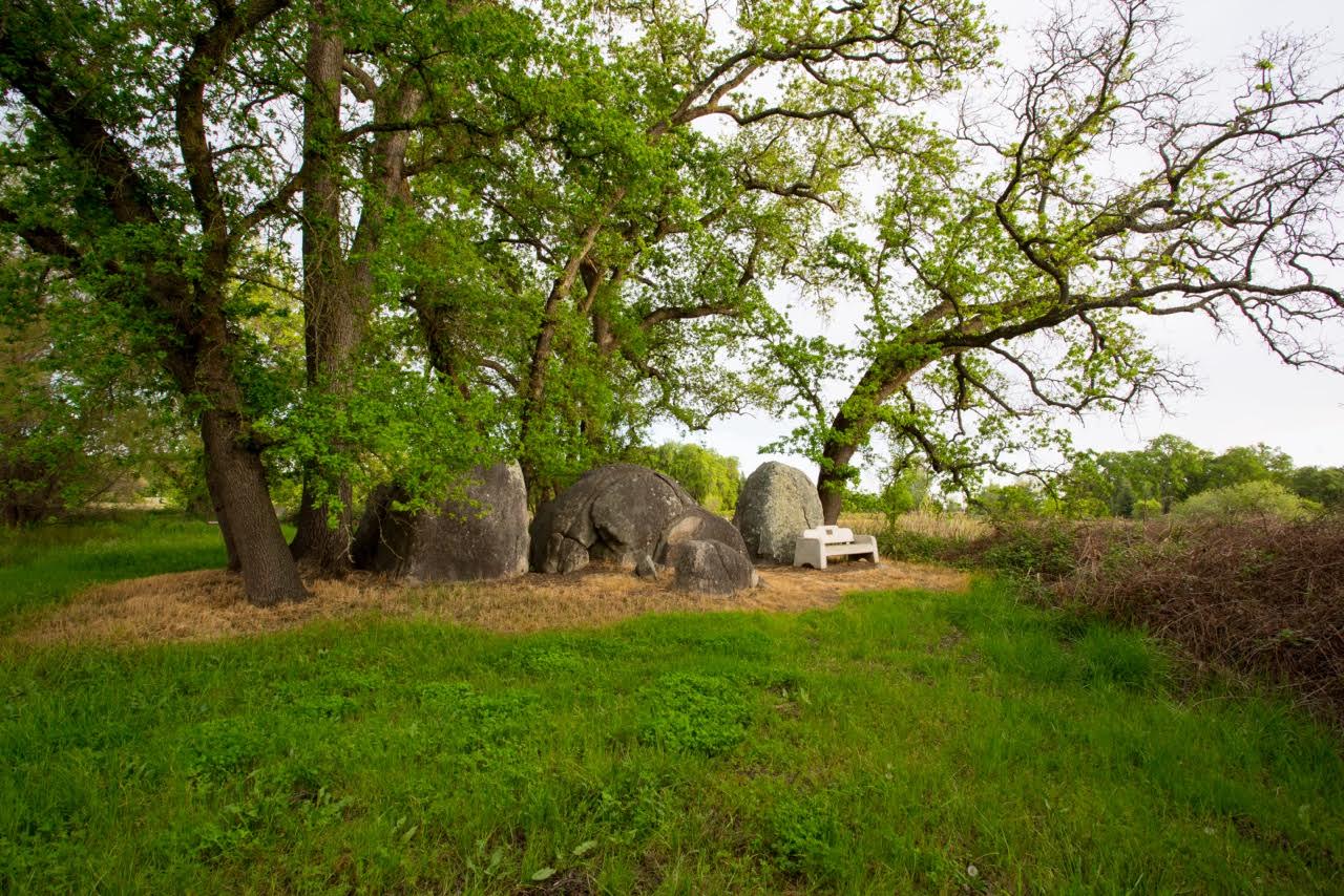 TRAYLOR RANCH | lbha