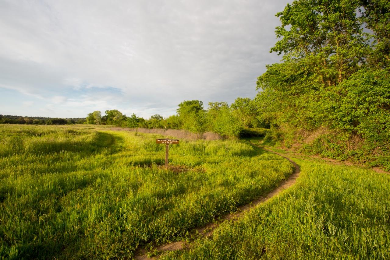 TRAYLOR RANCH | lbha