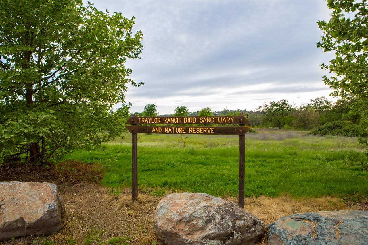 TRAYLOR RANCH | lbha