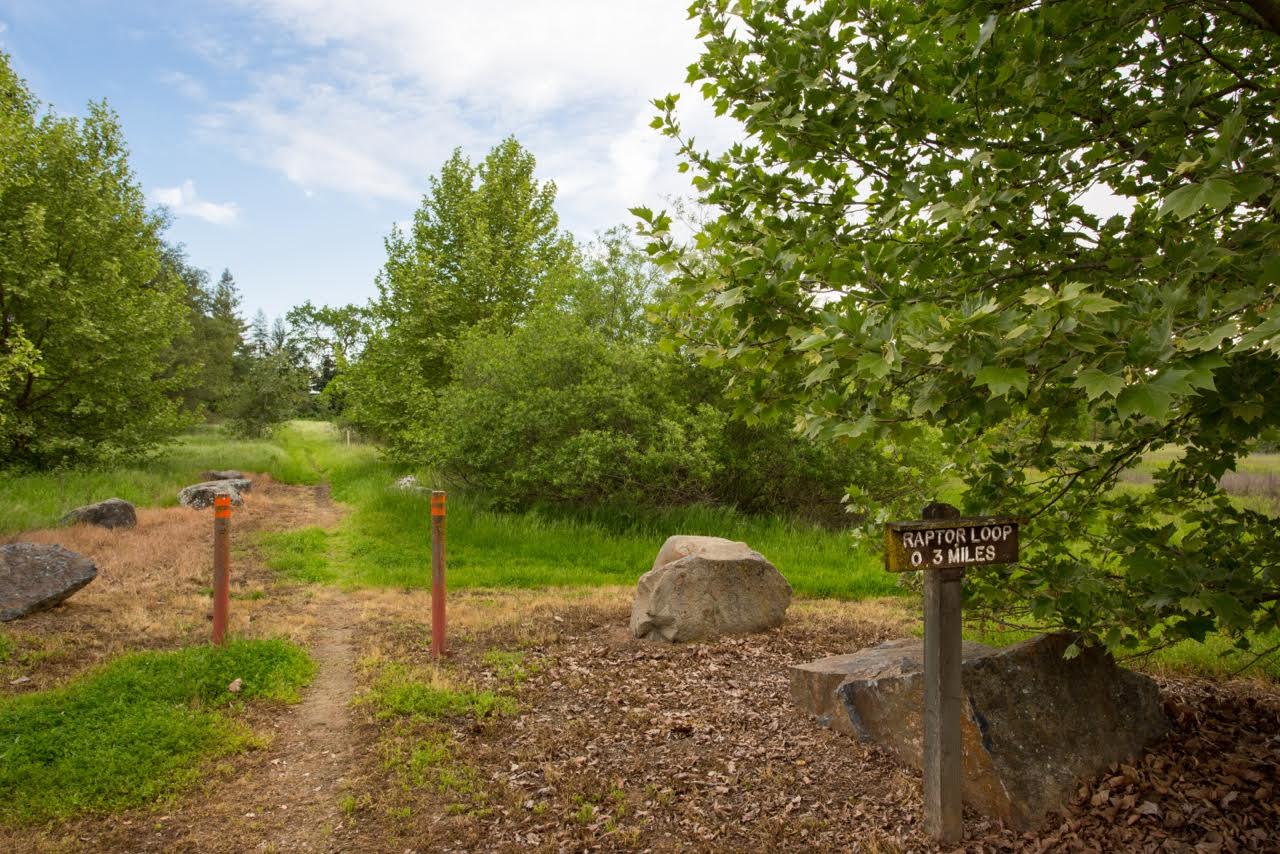 TRAYLOR RANCH | lbha