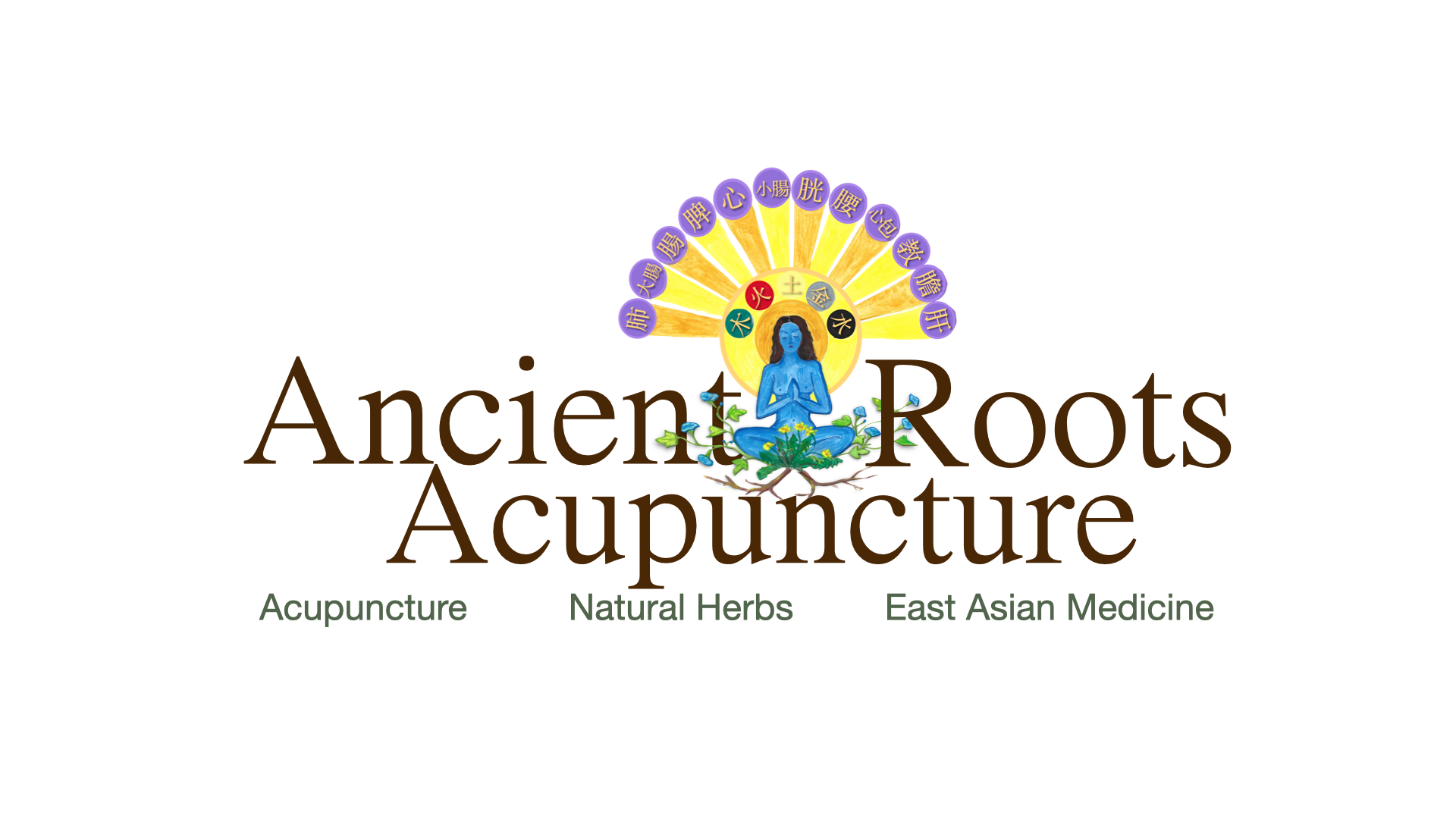 Ancient Roots Acupuncture | herbal medicine | 10850 West Laraway Road ...