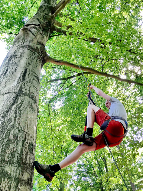 Boomkamp: bedrijfsuitje met teambuildingactiviteiten outdoor