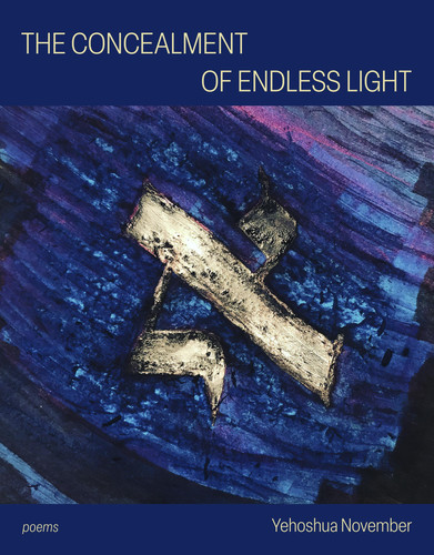 The Concealment of Endless Light, poems by Yehoshua November | Orison Books