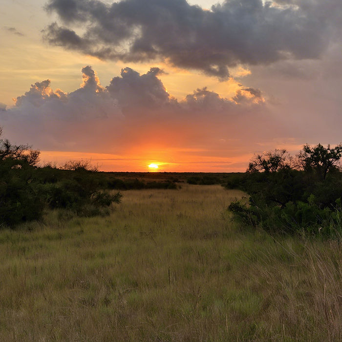 Brush Country Oasis RV Park | Rv Park | 201 N 23rd St, Carrizo Springs ...