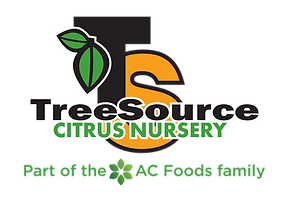 HOME | Citrus Tree Source