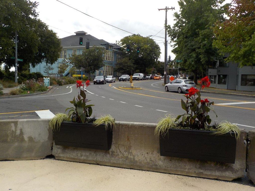 Community Gardens & Streetscape Projects | Sybertech Waste