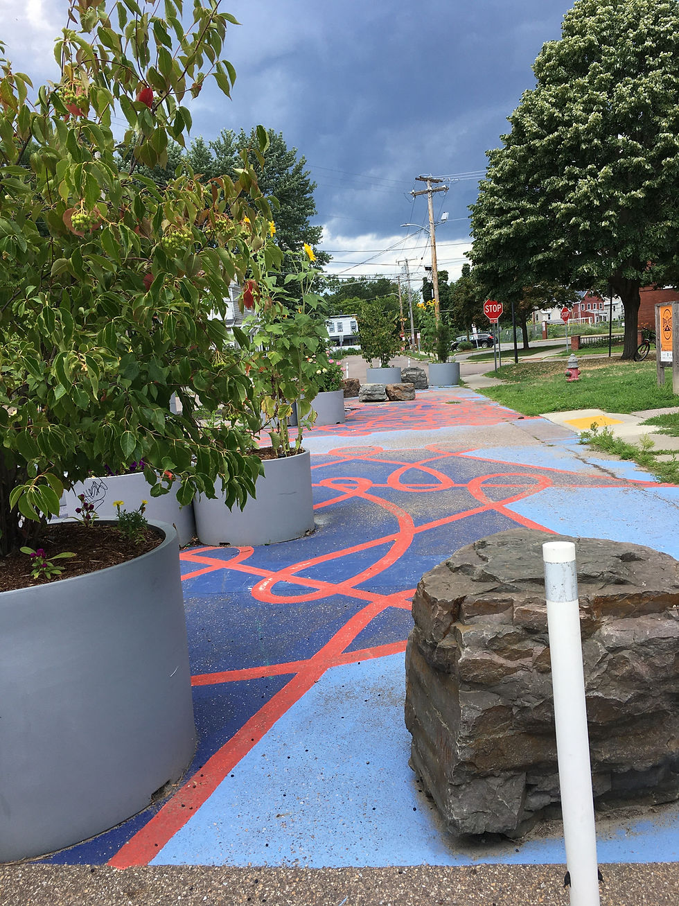 Community Gardens & Streetscape Projects | Sybertech Waste