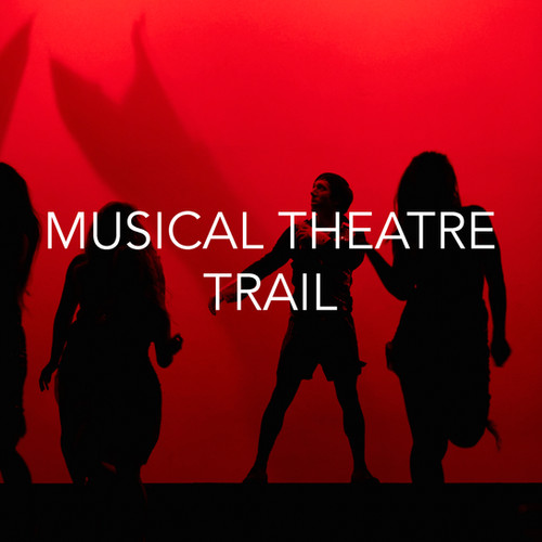 Musical Theatre Trial Class | auckland-dance