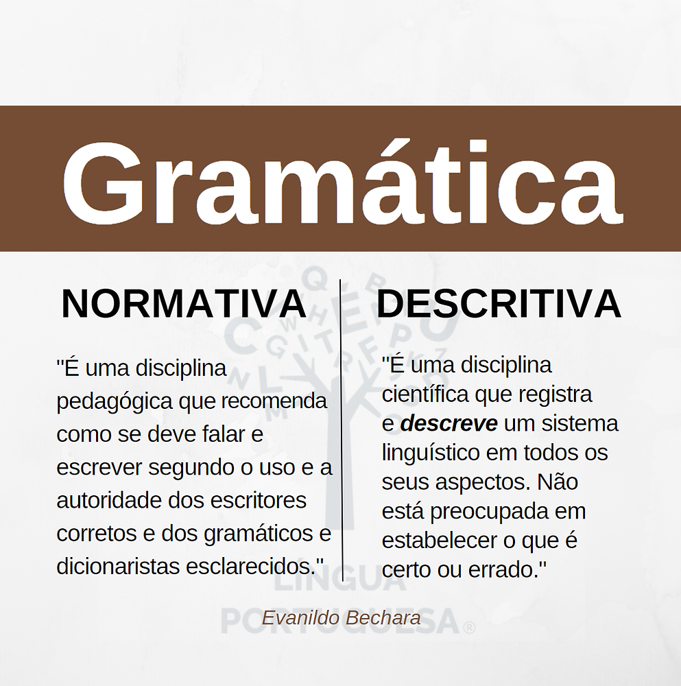 Gramática normativa e descritiva