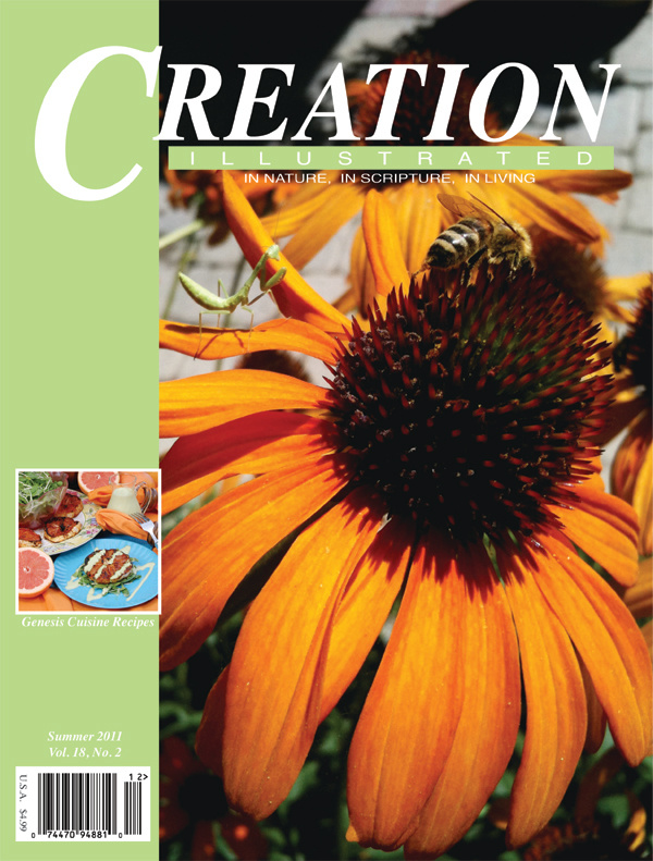 Christian Educational & Lifestyle Magazine | Creation Illustrated