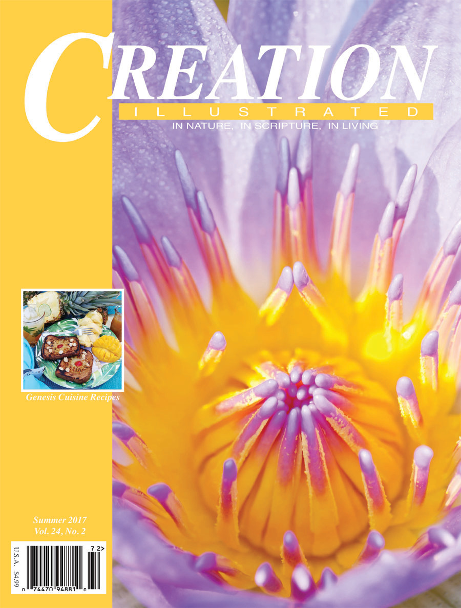 Christian Educational & Lifestyle Magazine | Creation Illustrated