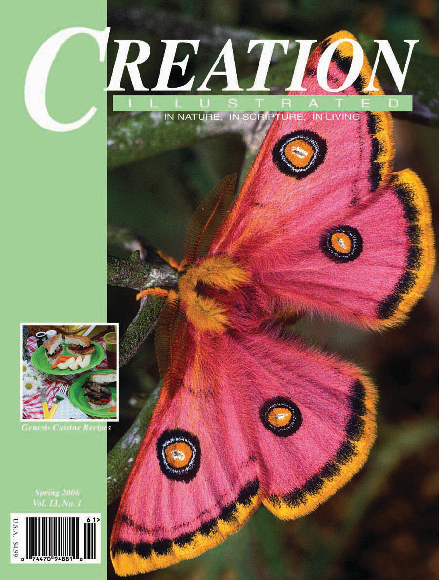 Christian Educational & Lifestyle Magazine | Creation Illustrated