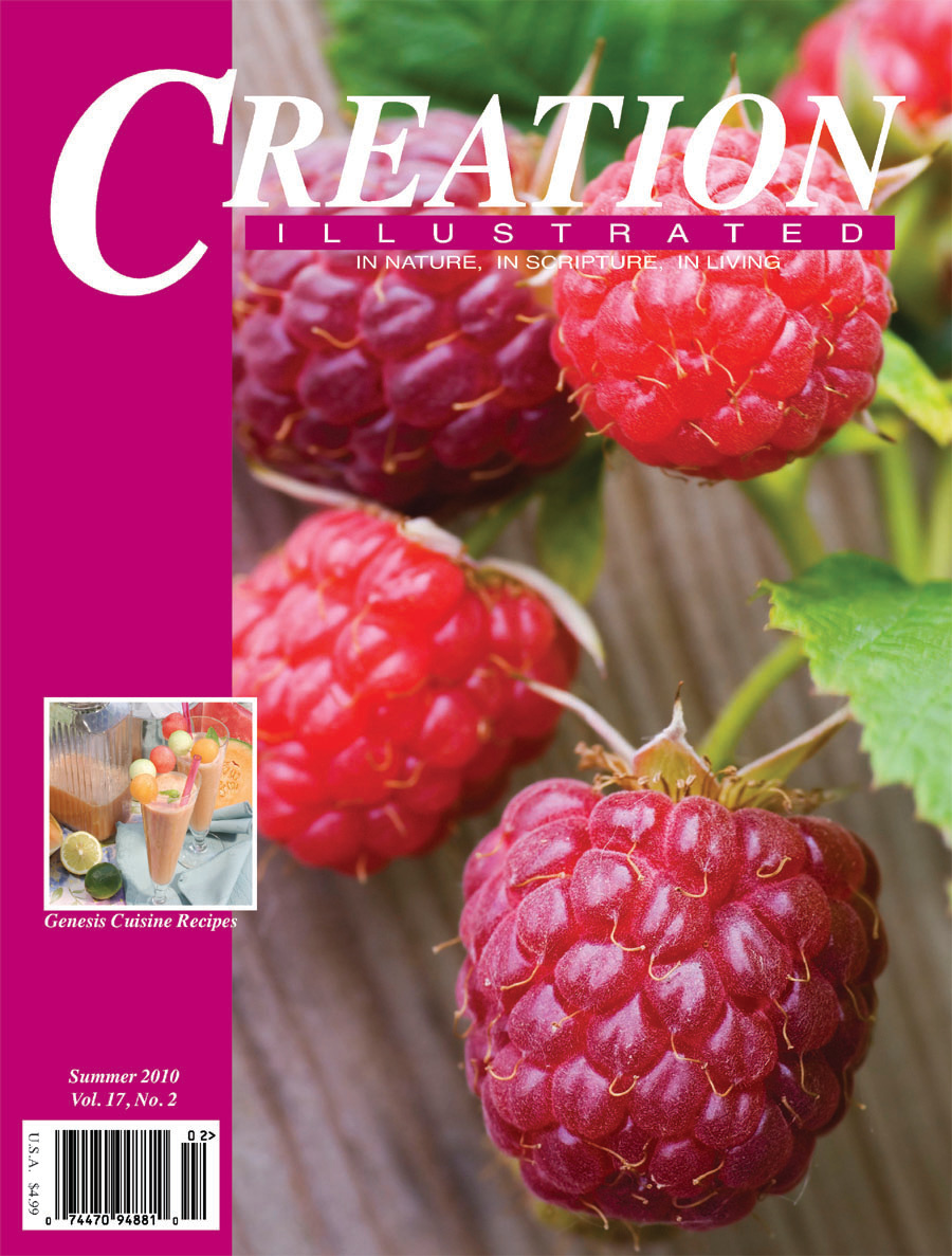 Christian Educational & Lifestyle Magazine | Creation Illustrated