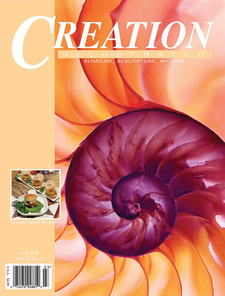 Christian Educational & Lifestyle Magazine | Creation Illustrated