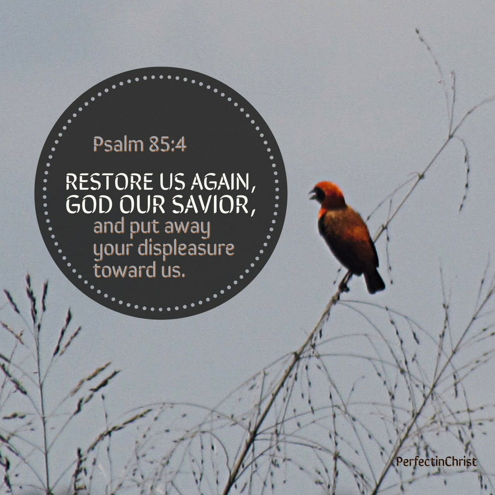 Prayer for Renewal