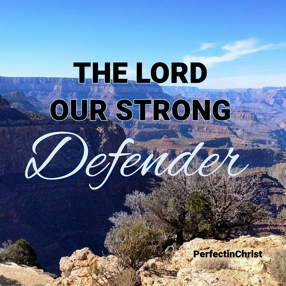 THE LORD OUR STRONG DEFENDER