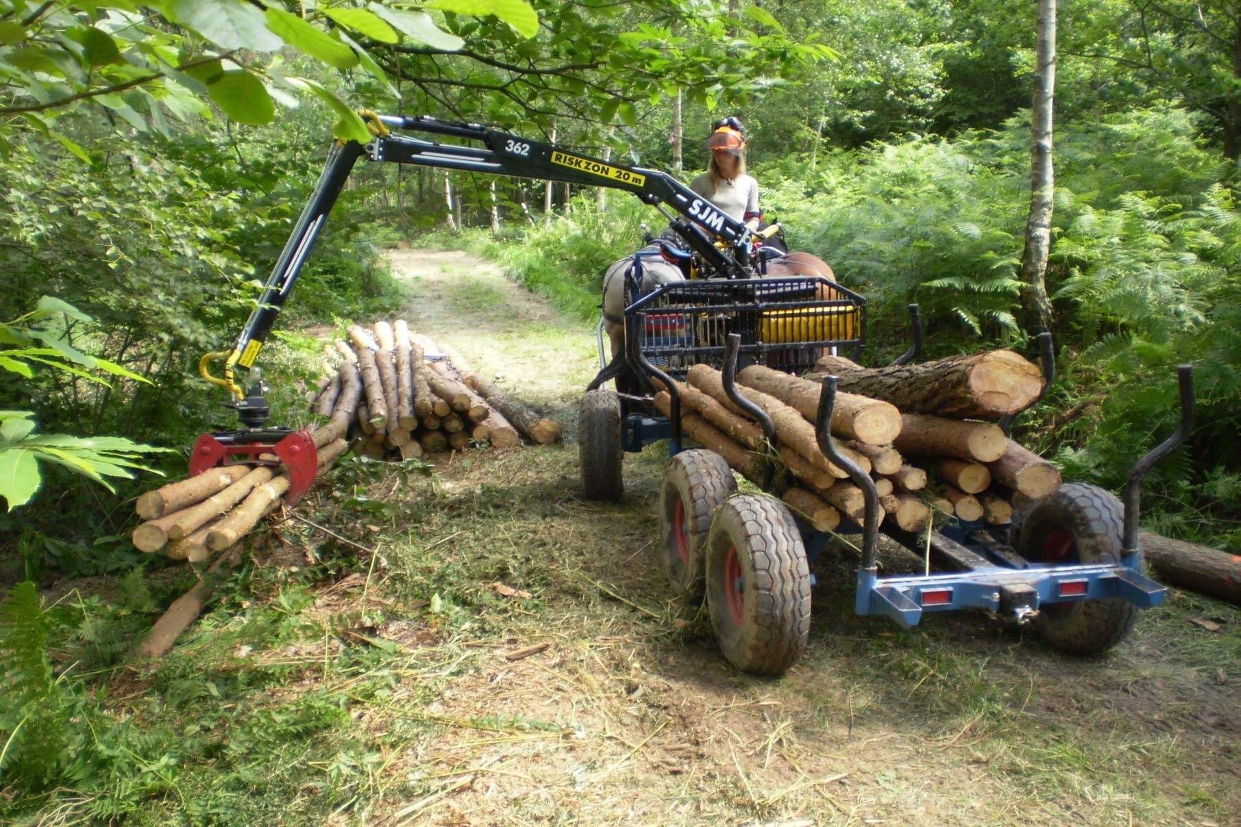 Horse drawn timber extraction | berenger
