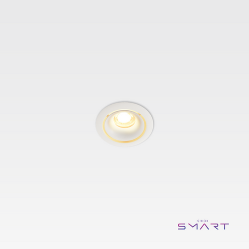 SMART Glo Spotlight (White) | shioklighting