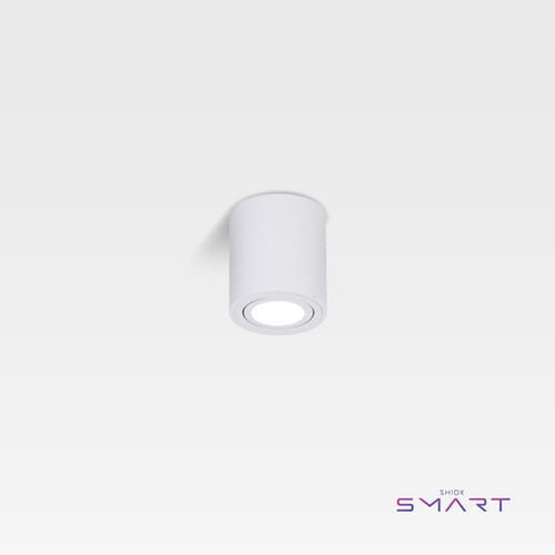 SMART Elemental Ceiling Lamp (White, Round) | shioklighting