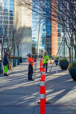 Neighbours Tree Company Ltd. | Edmonton Arborist | 22216 South Cooking ...