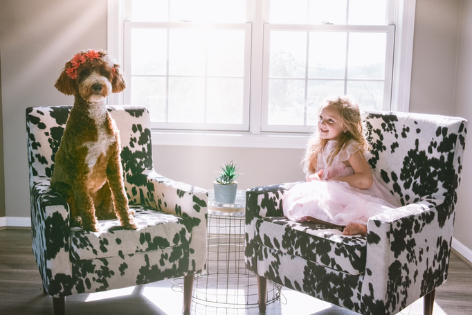 Breeder | TLC by the Lake | Poodles and Doodles