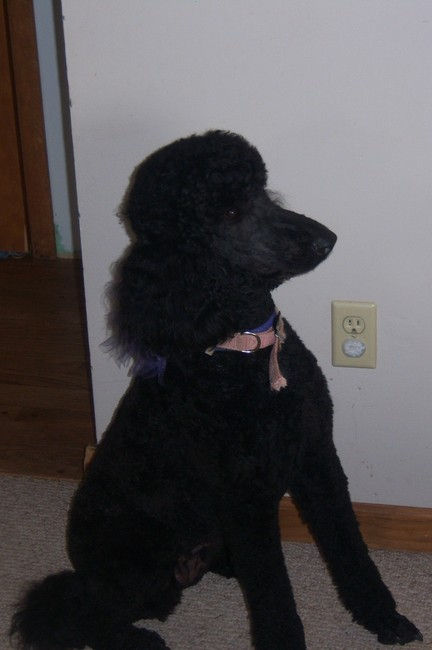 Jenna Belle - Retired Mother