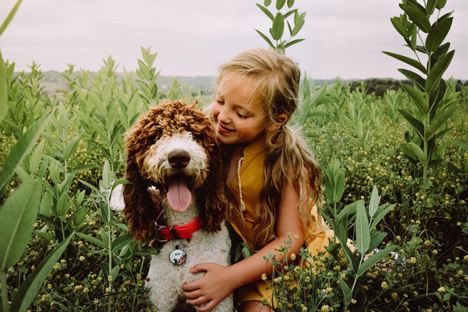 Breeder | TLC by the Lake | Poodles and Doodles