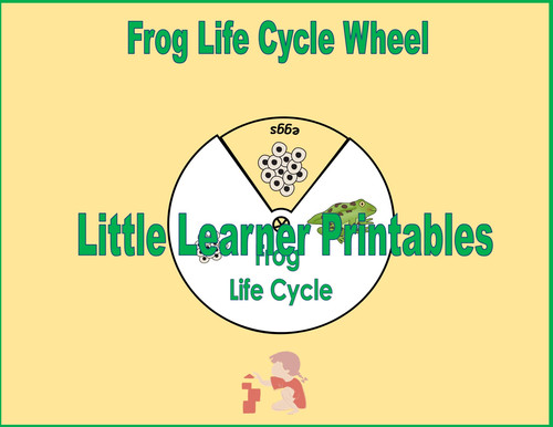 Frog Life Cycle Wheel | Little Learner