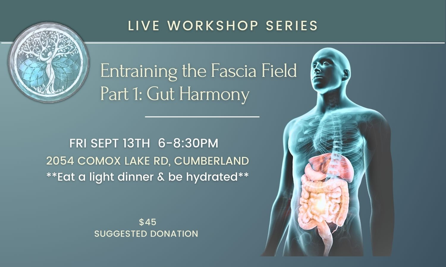 Entraining the Fascia Field Part 1: Gut Harmony | Unified Fields PMA