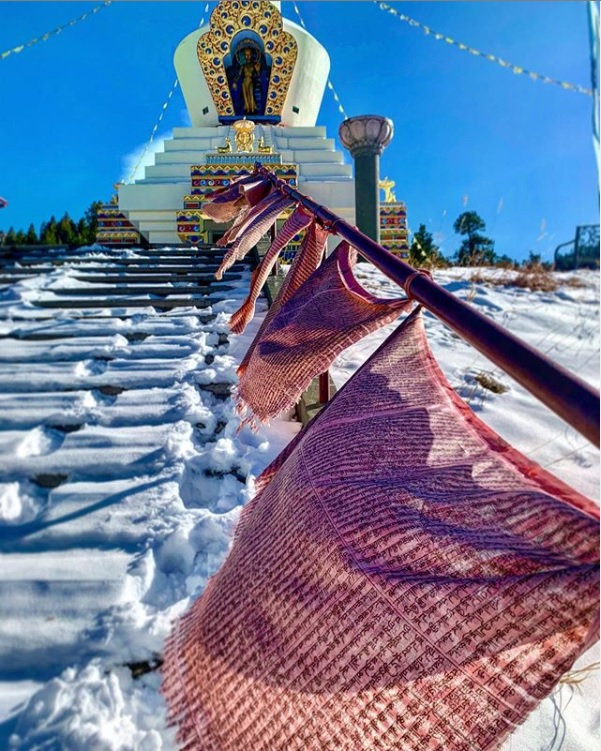 Surviving a Sex Cult