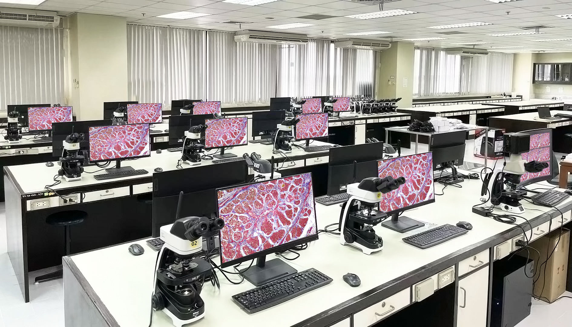 Enhance Science Education with the Wi-Fi Digital Microscope Interactive ...