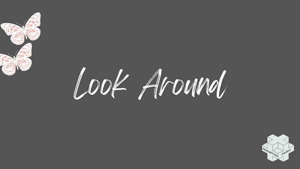 Look Around