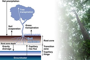 Research | micrometeorology-en