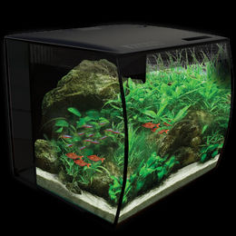 Our Range | Fishkeeper Scotland