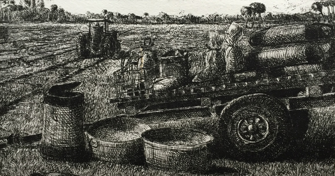 etchings + works on paper | sean-sexton-artist