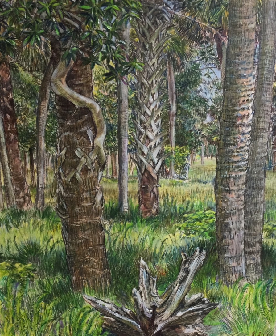 etchings + works on paper | sean-sexton-artist