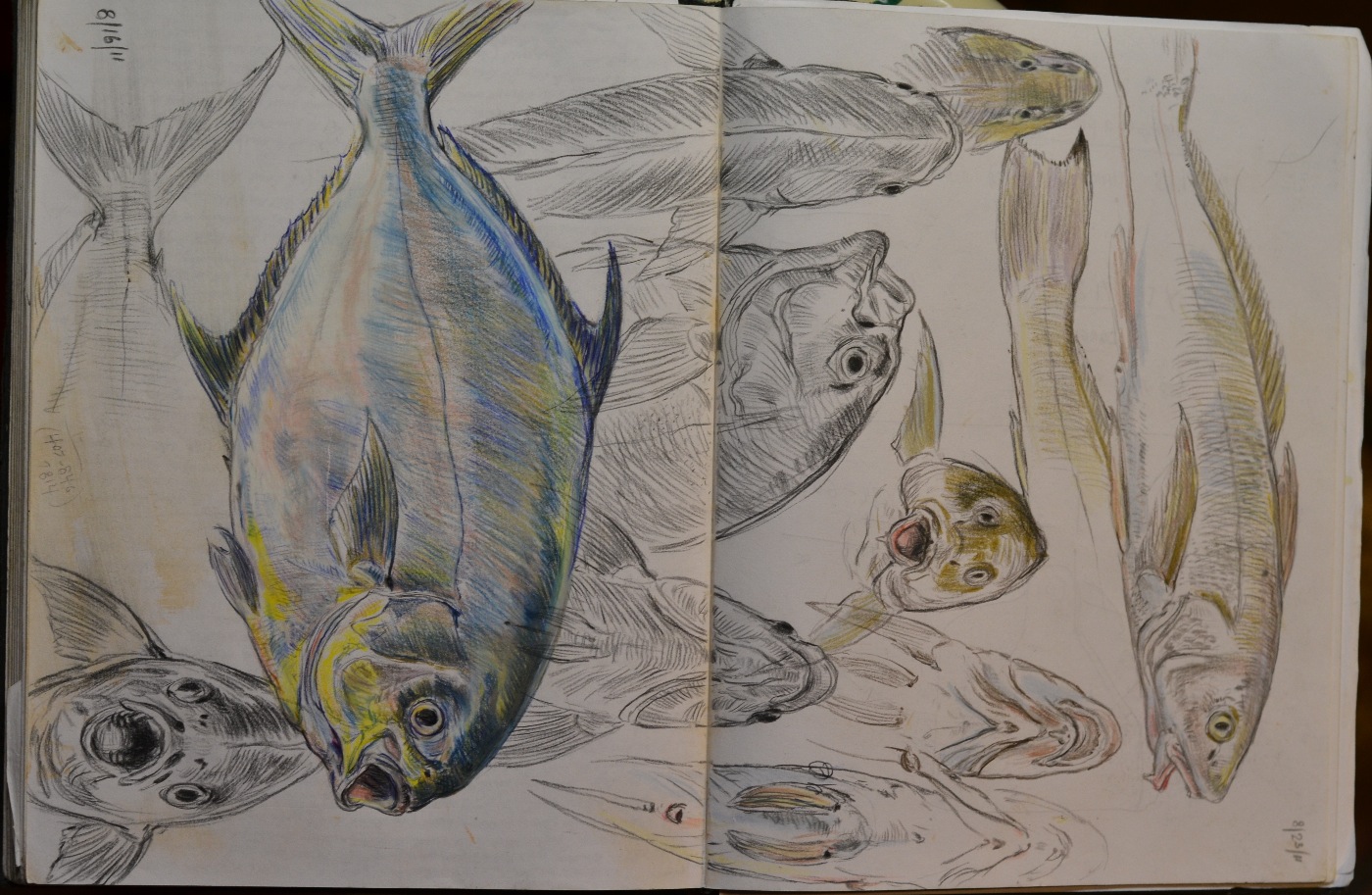 body of work | sean-sexton-artist