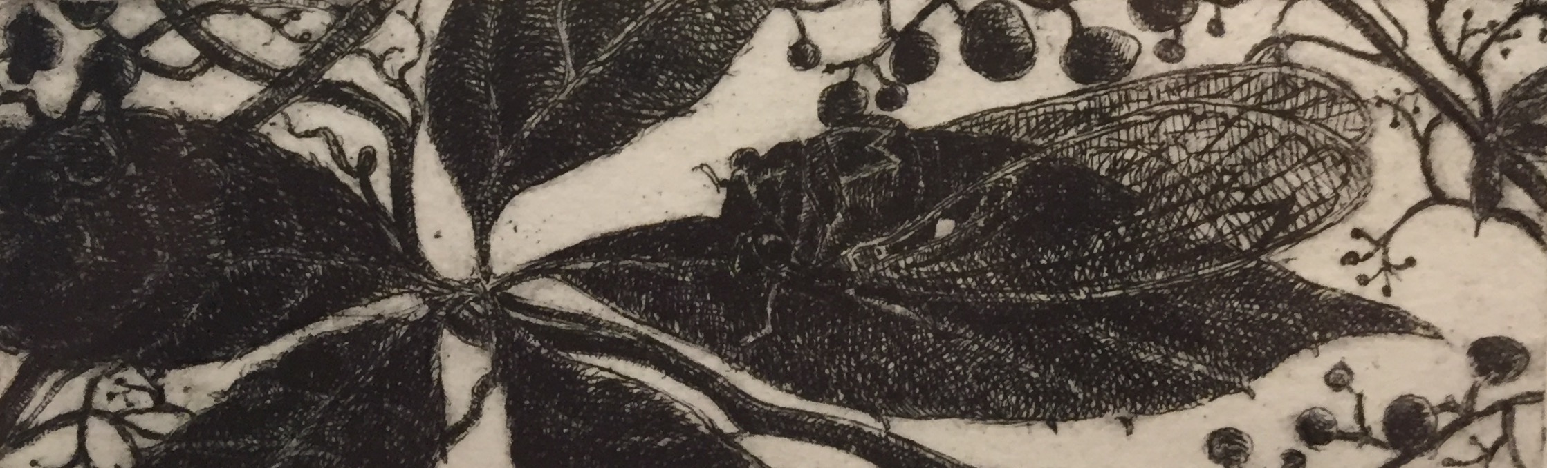 etchings + works on paper | sean-sexton-artist