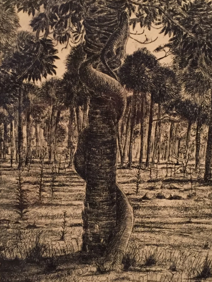 etchings + works on paper | sean-sexton-artist