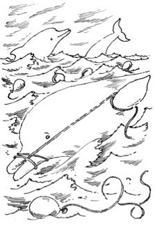 SONG OF THE DOLPHIN BOY EXTRACT