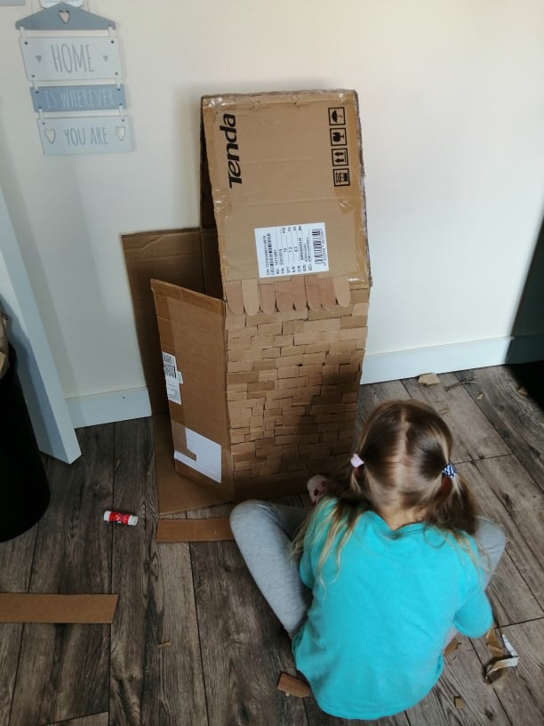 CARDBOARD CHALLENGE | St. Ursula's Primary School