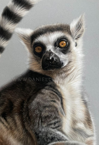 Hendry | Danielle Fisher