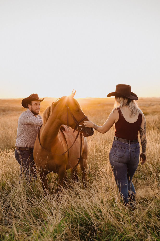 Invercargill // Sunset Adventure Session in the grassland with horses