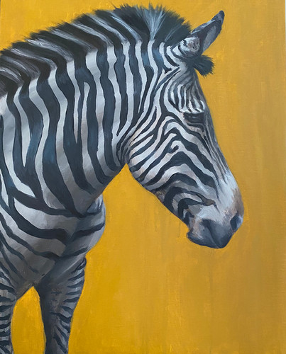 Zebra | jancavanaghartist