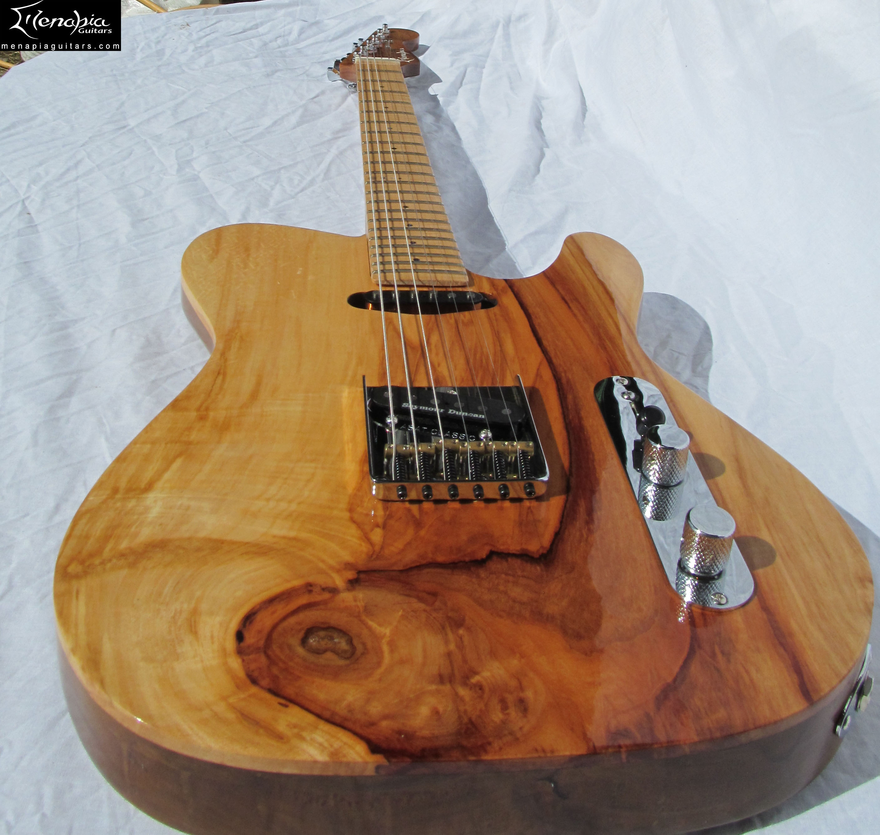 Custom Build Electric Guitars at Elaine Paulson blog