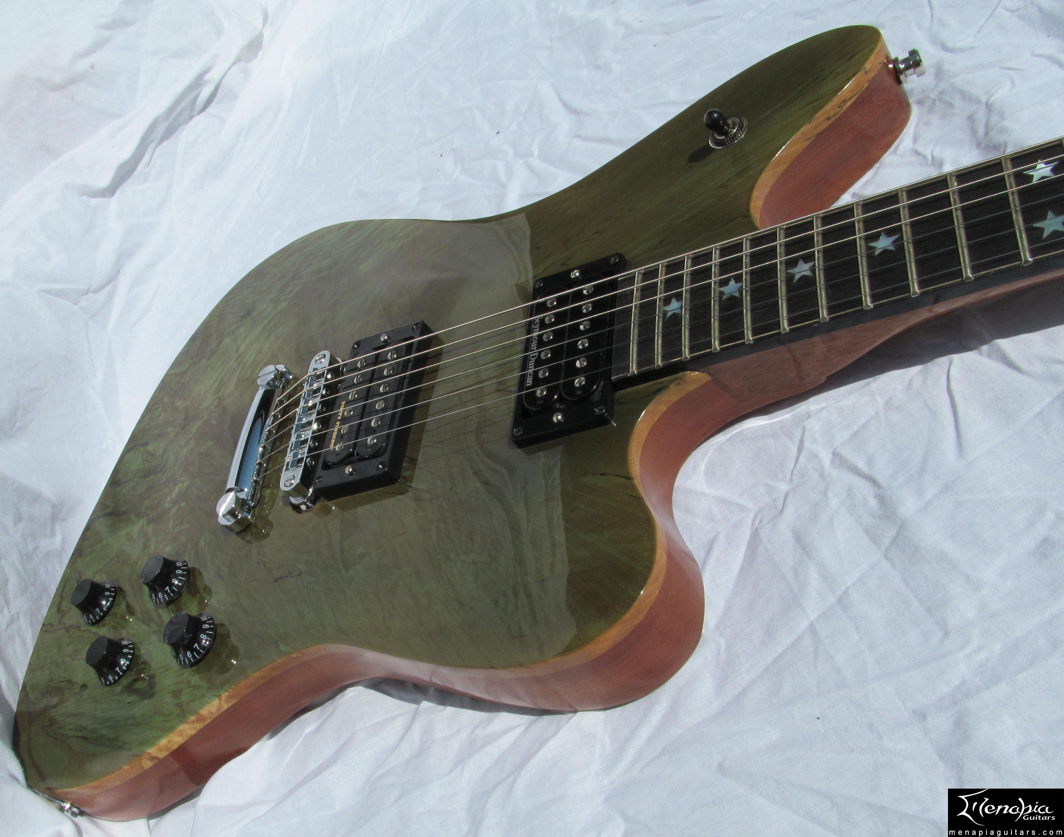 Custom Build Electric Guitars at Elaine Paulson blog